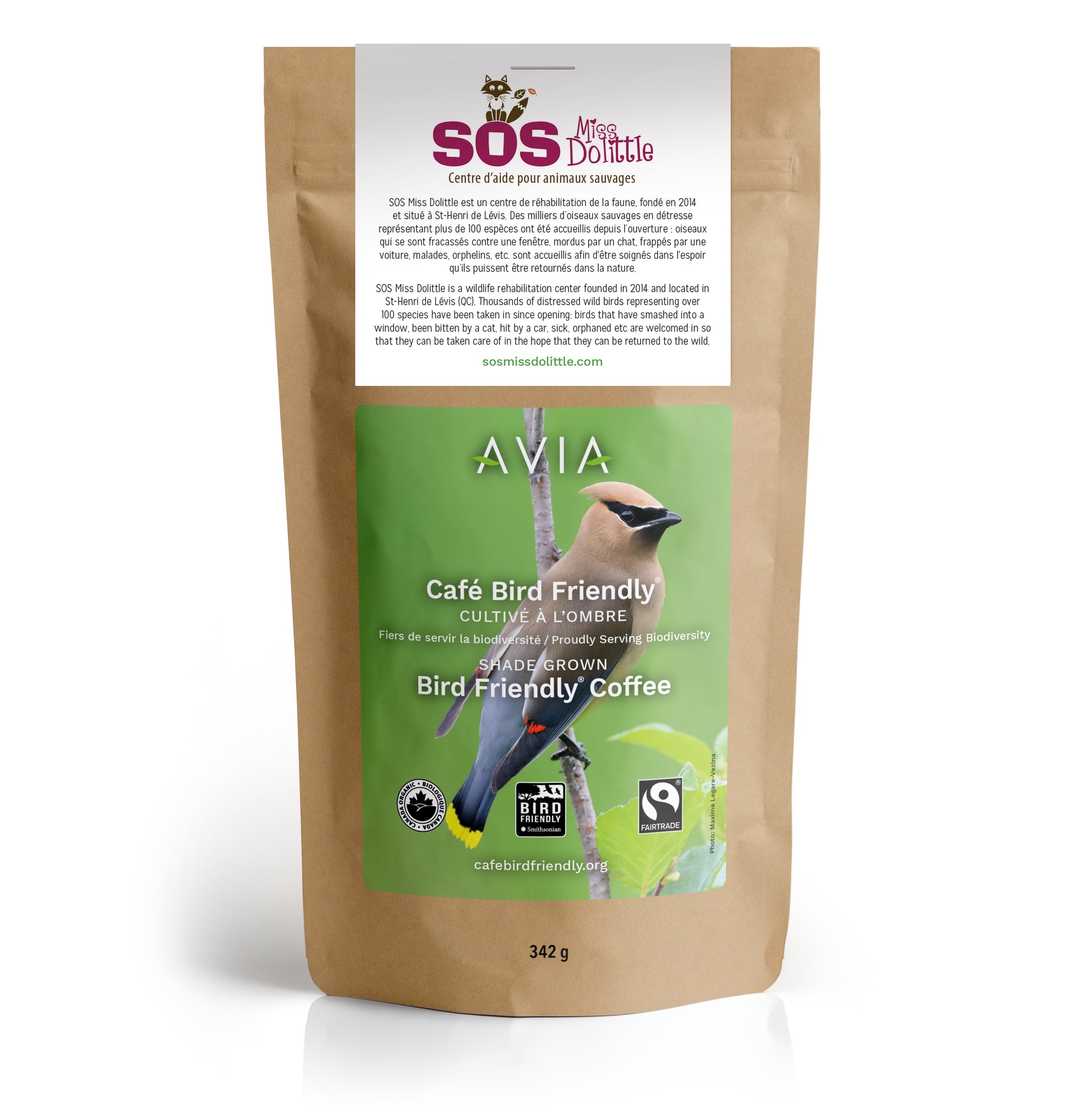 café – SOS Miss Dolittle